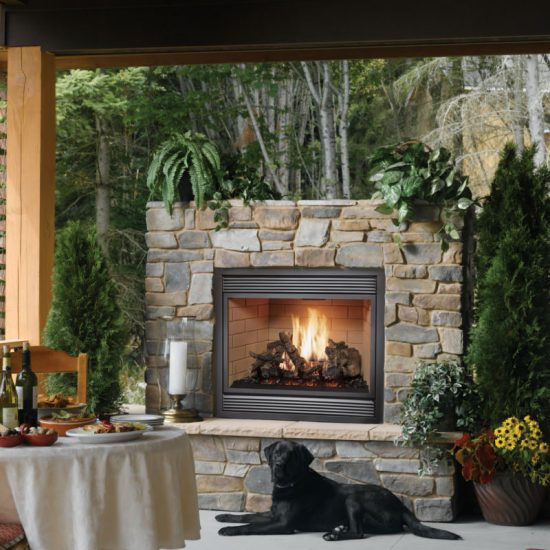 Fireplace Xtrordinair 864 TV 40K Clean Face Gas Fireplace - Monroe ...
