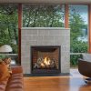 Fireplace Xtrordinair ProBuilder 36 Clean Face Gas Fireplace - Monroe ...